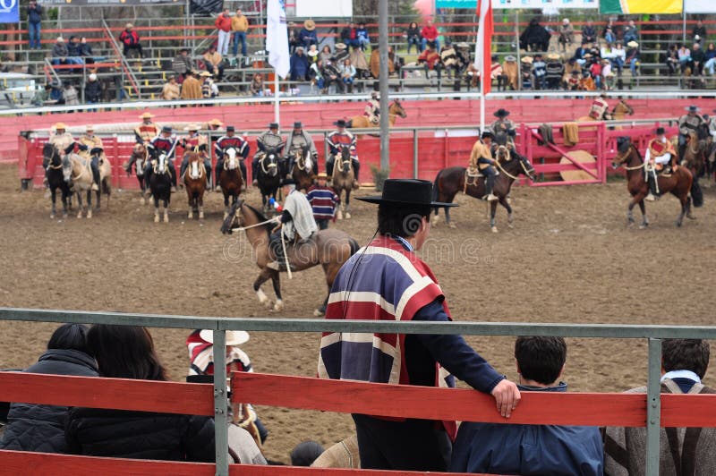 Rodeo en Chile foto editorial. Imagen de truncamiento - 26700786