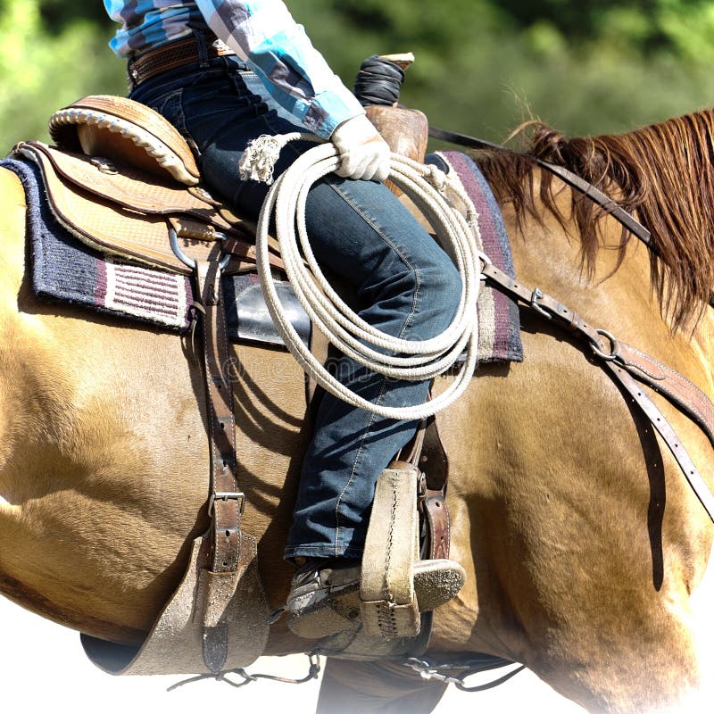 Rodeo equipment stock image. Image of lady, equipment - 45054873