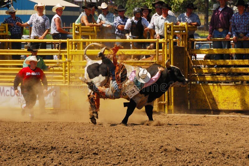 Rodeo Fun editorial photo. Image of saddle, professional - 24674281