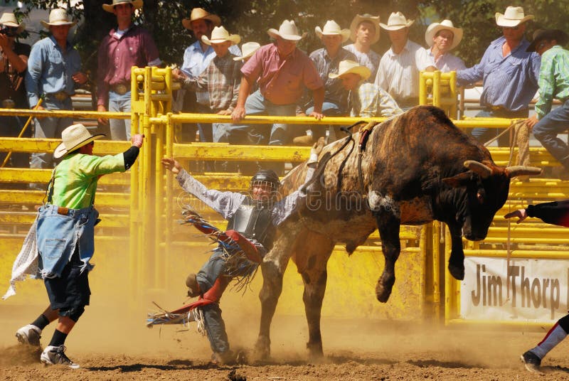 Rodeo Fun editorial stock photo. Image of animal, arena - 24674318