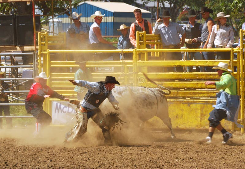 Rodeo Fun editorial photo. Image of cowboy, competition - 24674326