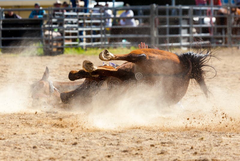Rodeo stock image. Image of boots, extreme, cowboy, lifestyle - 172452369