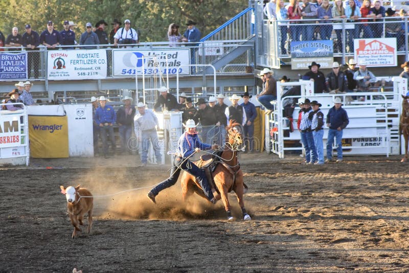 Rodeo Moment editorial stock image. Image of oregon, horse - 34327814