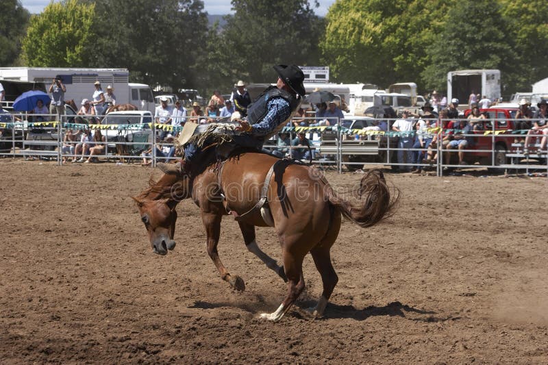 Rodeo Rider stock image. Image of hooves, tail, arena, head - 332987