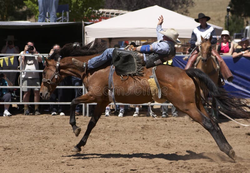 Rodeo Rider stock photo. Image of hooves, bridle, rider - 548268