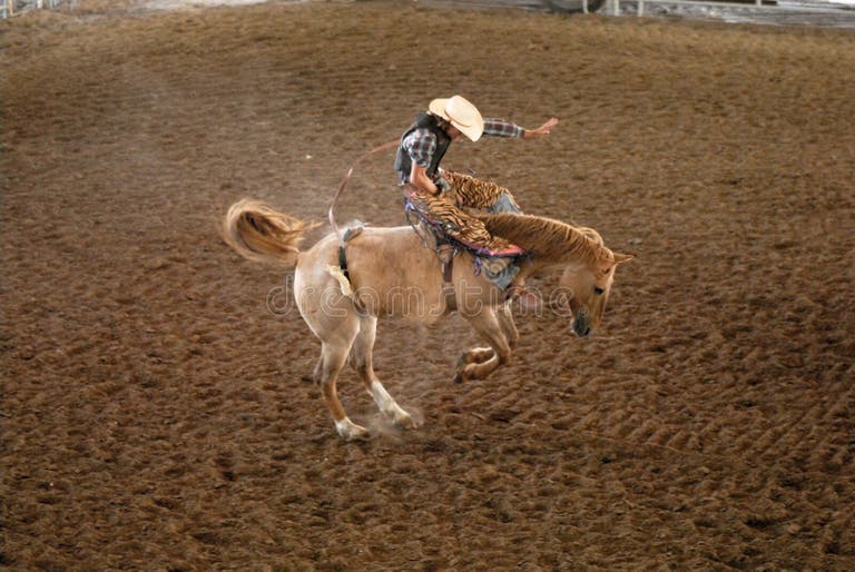 Rodeo Rider in Texas editorial photography. Image of wild - 18098142