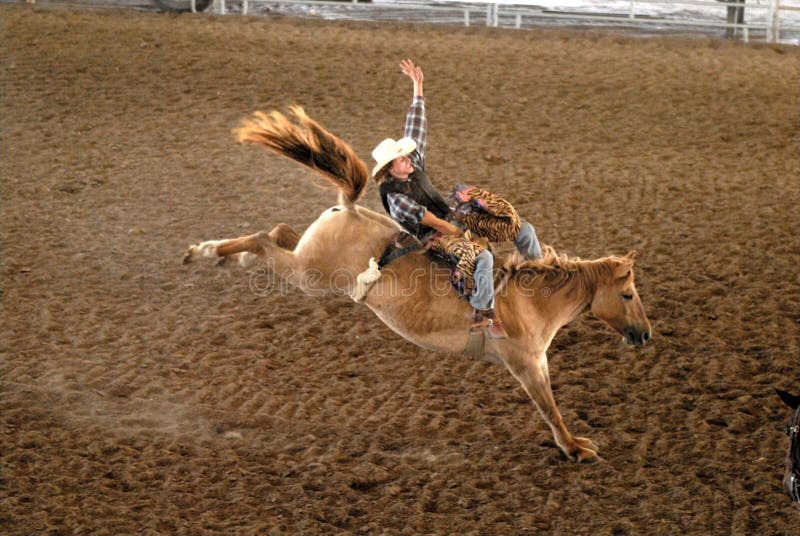 Rodeo Rider in Texas editorial photography. Image of jeans - 18098157