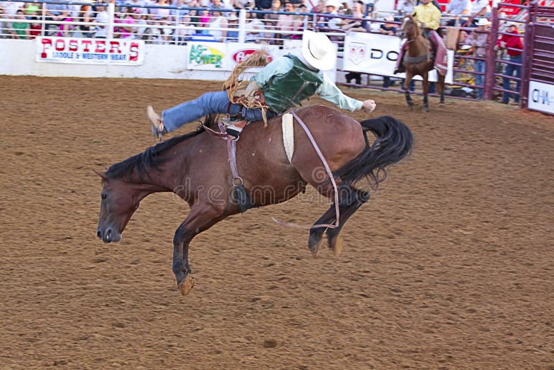 Extreme Rodeo editorial stock image. Image of equestrian - 25923539