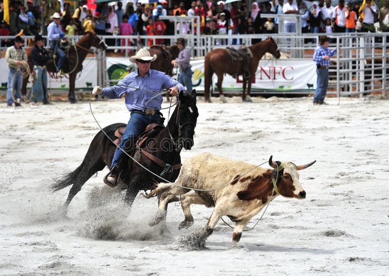 Rodeo Sign stock image. Illustration of visual, printed - 1875835