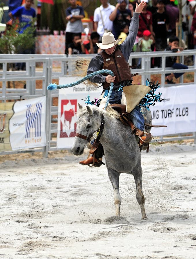 Rodeo Action stock image. Image of determination, action - 35955387