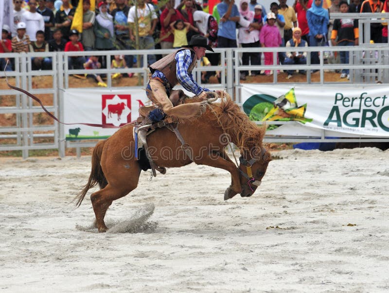 Rodeo Show editorial image. Image of male, cowboy, competition - 6168505