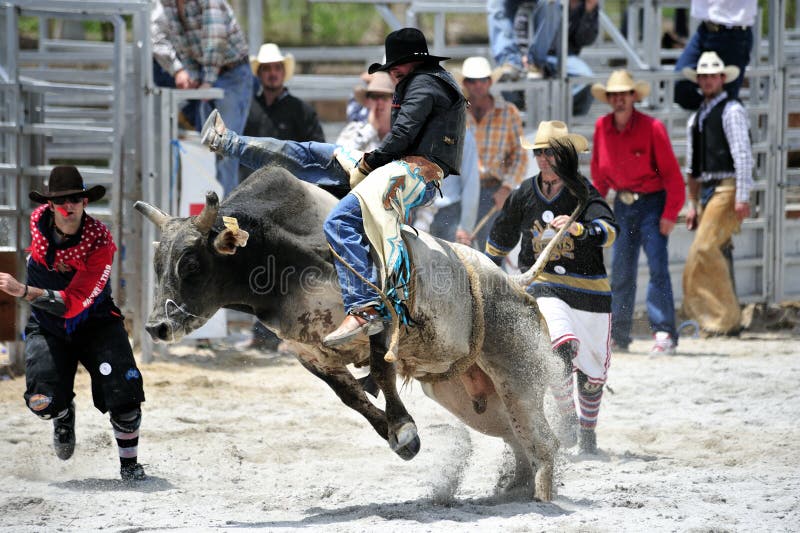 Rodeo Show editorial image. Image of male, cowboy, competition - 6168505