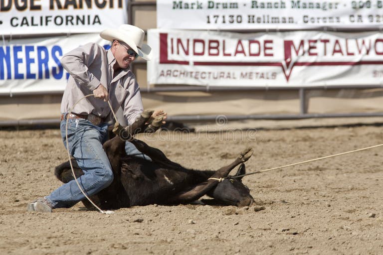 Rodeo Tie Down Roping editorial photo. Image of boys - 16448821