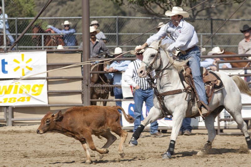 Rodeo Tie Down Roping editorial image. Image of competition - 18411040