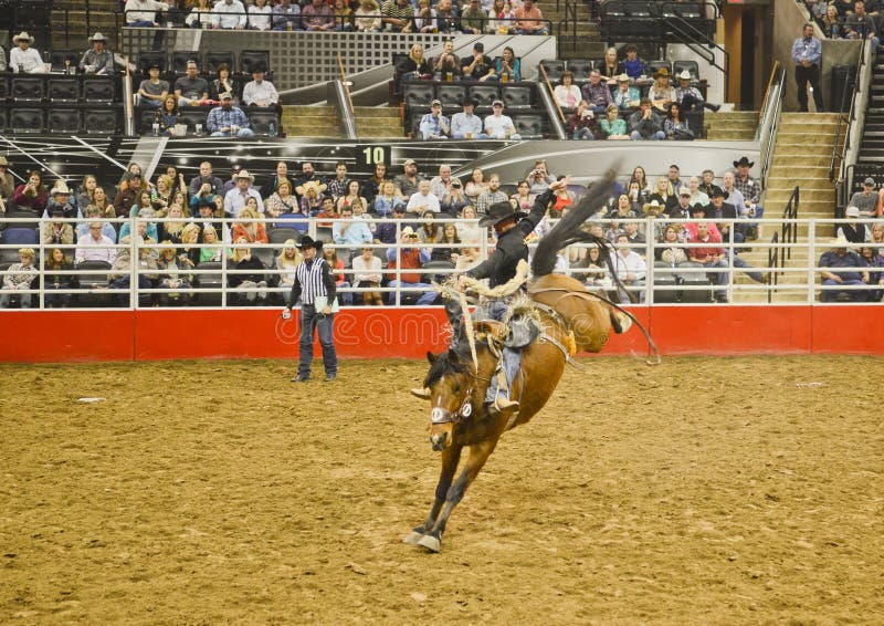 Rodero imagen editorial. Imagen de america, peligro, arena - 38090085