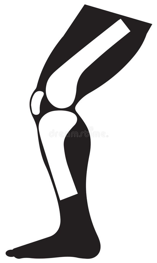 Rodilla humana ilustración del vector. Ilustración de rodilla - 115074904