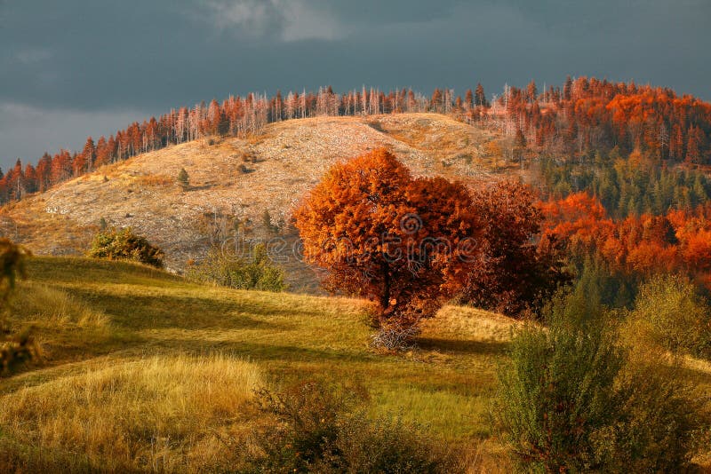 Rodopa mountain stock photo. Image of town, rodopa, romantic - 64807056