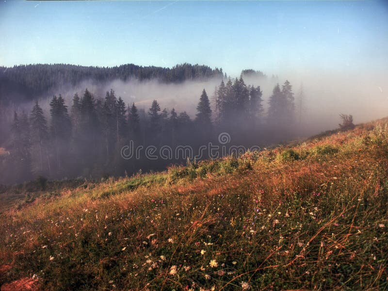 Rodopi Mountains - Morning Forest Stock Photo - Image of coast, double ...