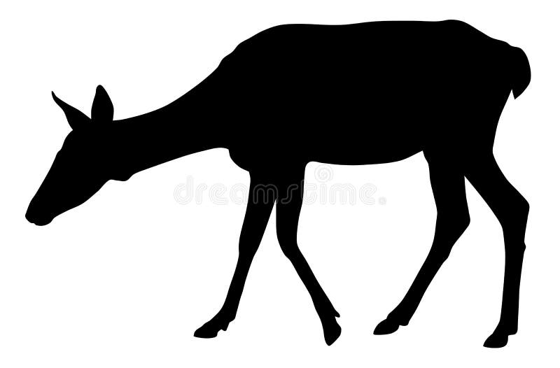 Roe stock vector. Illustration of hind, beast, mammal - 34880121