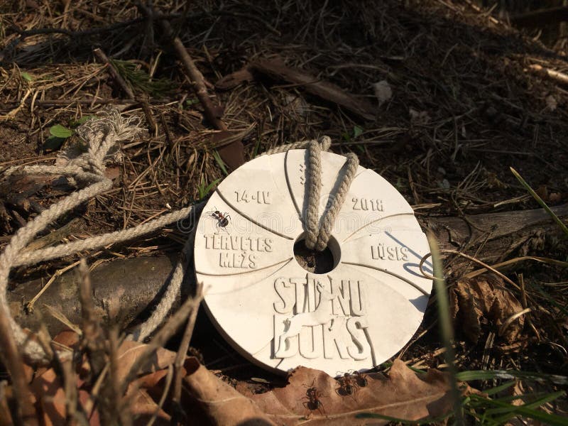 Roe deer editorial photo. Image of deer, medal, ants - 116120611