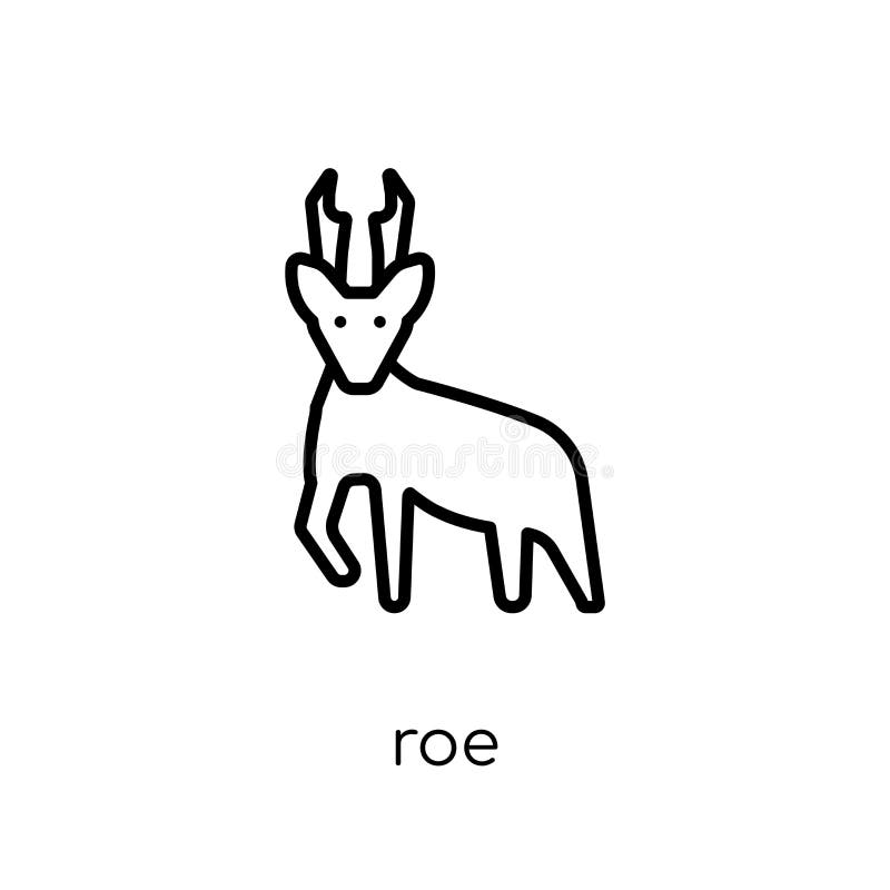 Roe Icon. Trendy Modern Flat Linear Vector Roe Icon on White Background ...