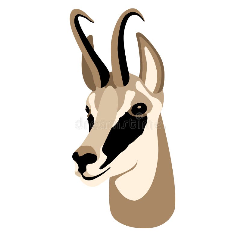 Springbok Head Stock Illustrations – 253 Springbok Head Stock ...
