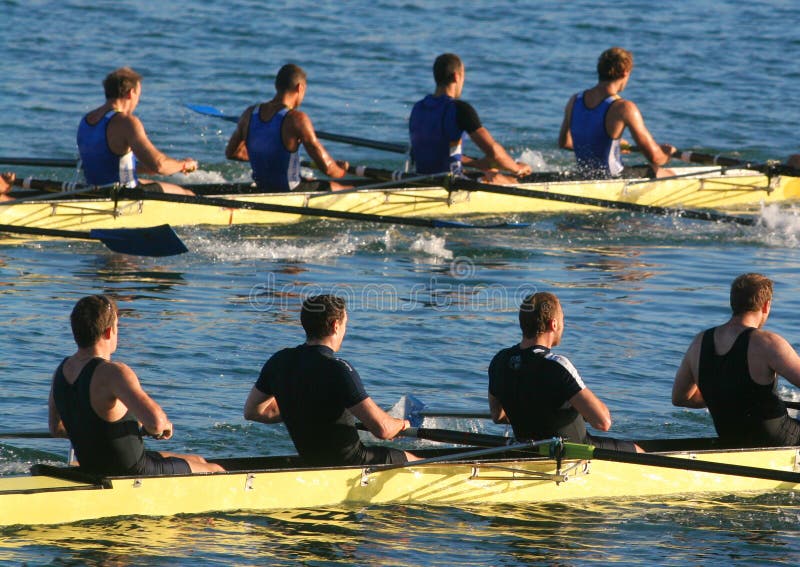 Roeiers stock afbeelding. Image of kwekers, test, team - 178713
