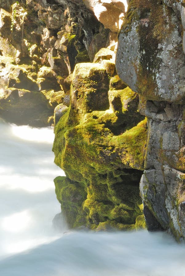 Rogue Gorge stock image. Image of river, outdoor, stream - 29391947