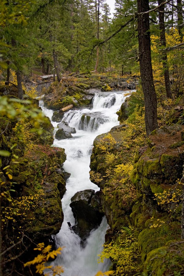 Scenic Rogue River - Oregon Stock Photo - Image of ponderosa, flowing ...