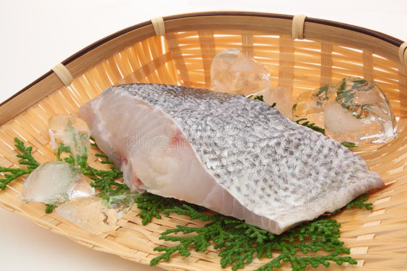 Roher Seebarsch stockfoto. Bild von ungekocht, fischerei - 80587586