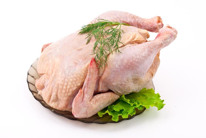 Rohes Huhn stockbild. Bild von ahle, mittagessen, aperitif - 14801455