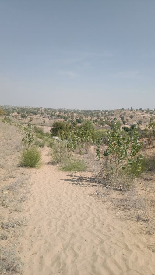 Rohida Stock Photos - Free & Royalty-Free Stock Photos from Dreamstime