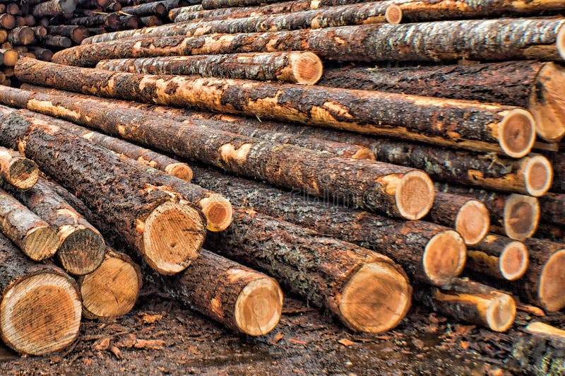 Rohstoffe stockfoto. Bild von gebäude, materialien, protokolle - 12330274