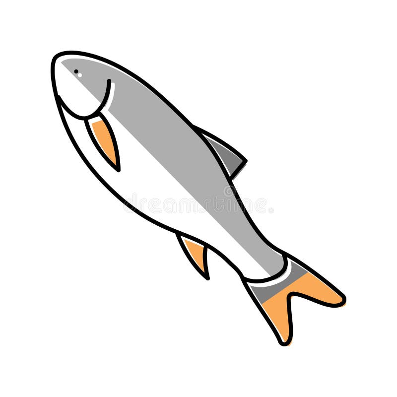 Rohu Fish Color Icon Vector Illustration Stock Vector - Illustration of ... Rohu Fish Color Icon Vector Illustration Stock Vector - Illustration of ...