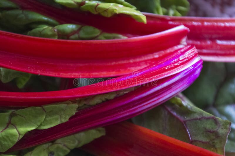Rojo - cardo provenido imagen de archivo. Imagen de cocina - 38663213