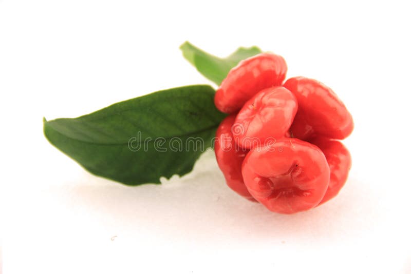 Rojo Del Color De La Manzana De Java Foto de archivo - Imagen de asia ...