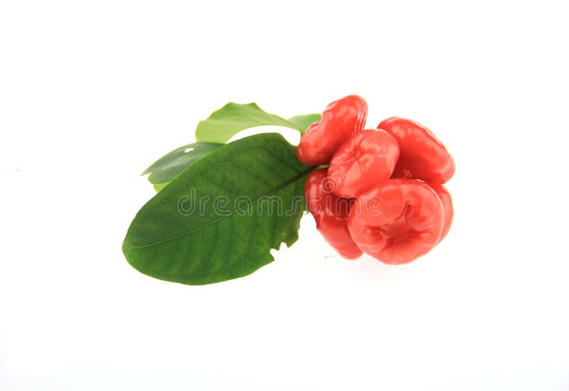 Rojo Del Color De La Manzana De Java Foto de archivo - Imagen de sano ...