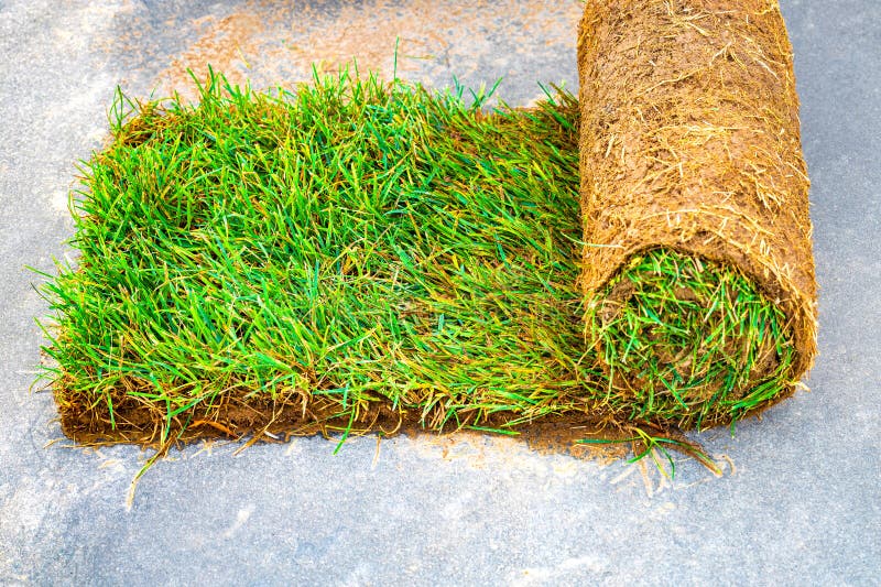 Roll of Artificial Turf with Green Grass Stock Image - Image of yard ...