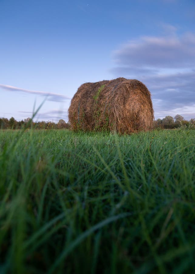 Roll bale in field stock image. Image of agriculture - 359980541