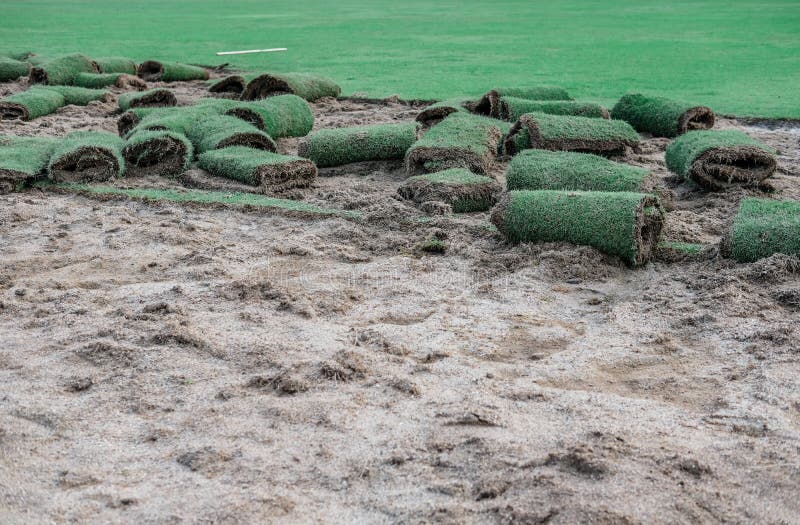 Roll Green Lawn Grass for Laying on Garden Stock Image - Image of ...