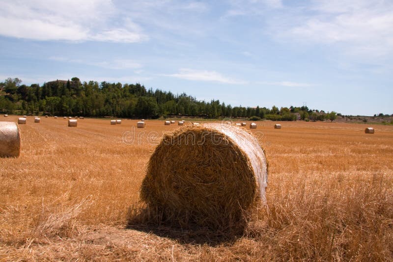 Roll of hay bales in field stock image. Image of nature - 10603415