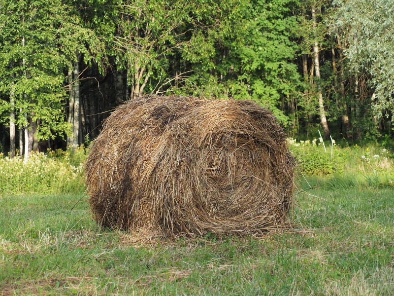 Roll of Hay on the Countryside Stock Image - Image of countryside ...
