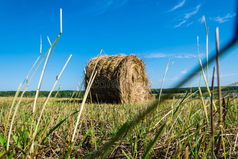 A roll of hay in the field stock image. Image of golden - 93048455