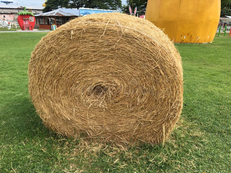 Haystack stock image. Image of ground, haystack, green - 122123155
