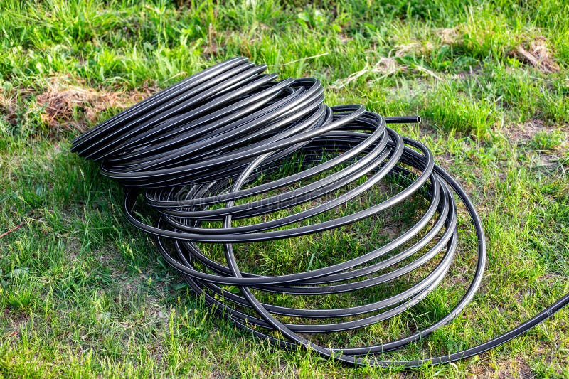 A Roll of HDPE Pipe on the Grass in the Garden. Installation of Drip ...