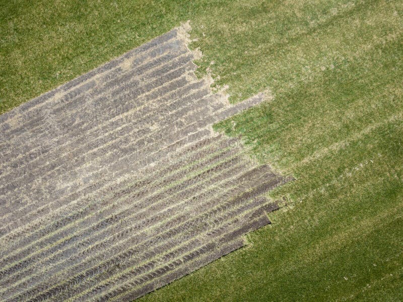 Roll lawn cultivating. stock image. Image of gardening - 181388389