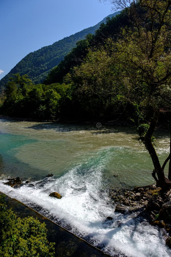 Roll of a Mountain River with Tree Stock Photo - Image of tourism ...