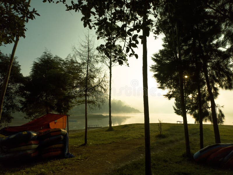Roll Sun Forest in the Morning View Stock Image - Image of life, view ...