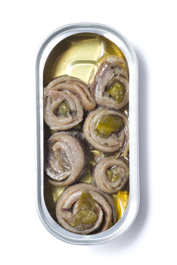 Rolled anchovies in can stock image. Image of rolled, isolated - 4056671