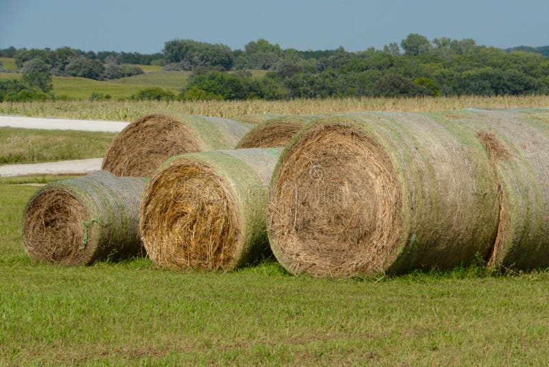 Hay! stock image. Image of farm, pastoral, rural, straw - 99238173